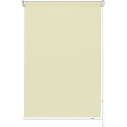 Gardinia Seitenzugrollo &raquo;Uni-Rollo&laquo; Lichtschutz Sichtschutz mit Bohren freih&auml;ngend 1 St&uuml;ck, im Fixma&szlig; champagner Obermaterial: 100% Polyester 230 cm