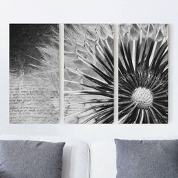 Bilderwelten 3-teiliges Leinwandbild - Querformat Pusteblume Schwarz & Wei&szlig;