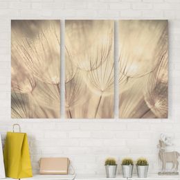 Bilderwelten 3-teiliges Leinwandbild Pusteblumen Nahaufnahme in wohnlicher Sepia T&ouml;nung