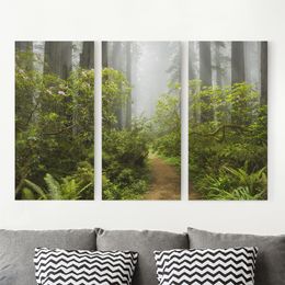 Bilderwelten 3-teiliges Leinwandbild - Querformat Nebliger Waldpfad