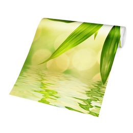 Bilderwelten Tapete - Fototapete Wellness Gr&uuml;nes Gras 3D - Green Ambiance I - Wandtapete Schlafzimmer Wohnzimmer modern - auch selbstklebend