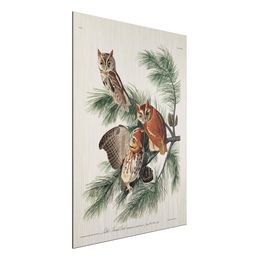 Bilderwelten Alu Dibond Outdoor Bild Wald braun Vintage wetterfest - Vintage Lehrtafel K&auml;uzchen - B&auml;ume Wohnzimmer Schlafzimmer