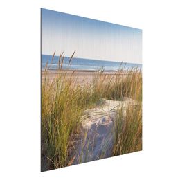 Alu Dibond Outdoor Bild - Strandd&uuml;ne am Meer - Strand beige Motiv wetterfest D&uuml;nen Wohnzimmer Schlafzimmer