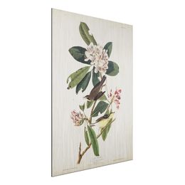 Bilderwelten Alu-Dibond Outdoor Bild Vintage Lehrtafel Grasm&uuml;cke