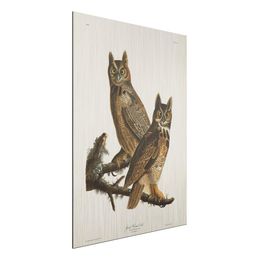 Bilderwelten Alu Dibond Outdoor Bild Tiere braun Vintage wetterfest - Vintage Lehrtafel Zwei gro&szlig;e Uhus - Retro Wohnzimmer Schlafzimmer