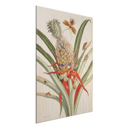 Bilderwelten Alu Dibond Outdoor Bild originell gr&uuml;n Vintage wetterfest - Anna Maria Sibylla Merian - Ananas mit Insekten - Pflanzen Wohnzimmer Schlafzimmer