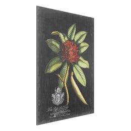 Bilderwelten Alu-Dibond Outdoor Bild Vintage Royales Blattwerk auf Schwarz III