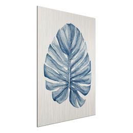 Bilderwelten Alu-Dibond Outdoor Bild Zeichnung Tropische Monstera in Indigo