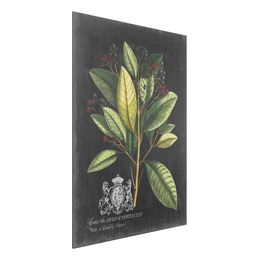Bilderwelten Alu Dibond Outdoor Bild originell schwarz Vintage wetterfest - Vintage Royales Blattwerk auf Schwarz IV - Pflanzen Wohnzimmer Schlafzimmer