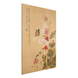 Bilderwelten Alu-Dibond Outdoor Bild Yuanyu Ma - Mohnblumen und Schmetterlinge