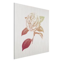 Alu Dibond Outdoor Bild - Modern Vintage Botanik Rose Rot Gr&uuml;n - rot Vintage wetterfest Pflanzen Wohnzimmer Schlafzimmer