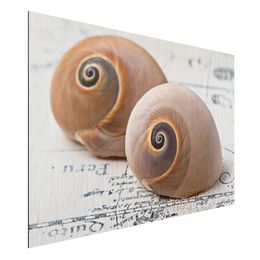 Bilderwelten Alu Dibond Outdoor Bild Weltkarte beige Motiv wetterfest - Muschelduo - Karten Wohnzimmer Schlafzimmer