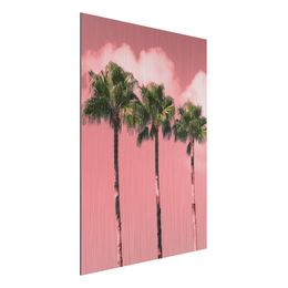 Bilderwelten Alu-Dibond Outdoor Bild Palmen vor Himmel Rosa