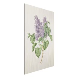 Bilderwelten Alu Dibond Outdoor Bild Blumen violett Vintage wetterfest - Maria Geertruyd Barbiers-Snabilie - Flieder - Retro Wohnzimmer Schlafzimmer
