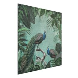 Alu Dibond Outdoor Bild - Shabby Chic Collage - Edler Pfau - Tiere t&uuml;rkis Vintage wetterfest Pflanzen Wohnzimmer Schlafzimmer