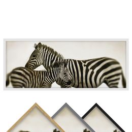 Schwarz-Wei&szlig; Bild mit Rahmen Zebrapaar