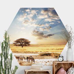 Hexagon Fototapete selbstklebend Das Leben der Zebras