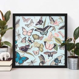 Bilderwelten Bild mit Rahmen Vintage Collage - Schmetterlinge und Libellen