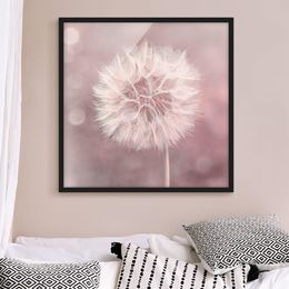 Bilderwelten Bild mit Rahmen Pusteblume Bokeh rosa