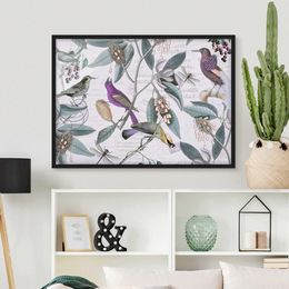 Bilderwelten Bild mit Rahmen Vintage Collage - Nostalgische V&ouml;gel