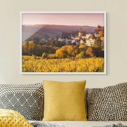 Bild mit Rahmen Weinberge in Frankreich