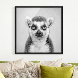 Bilderwelten Bild mit Rahmen Lemur Ludwig Schwarz Wei&szlig;