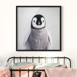 Bilderwelten Bild mit Rahmen Baby Pinguin Pepe