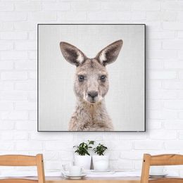 Wechselbild K&auml;nguru Knut