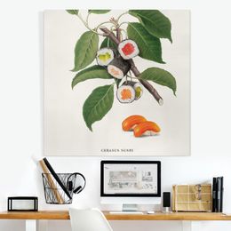 Bilderwelten Leinwandbild Vintage Pflanze - Sushi