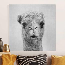 Bilderwelten Leinwandbild Tiere Motiv Kunstdruck schwarz weiss - Kamel Konrad Schwarz Wei&szlig; - Wandbild XXL Kinderzimmer Baby M&auml;dchen Jungen