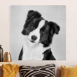 Bilderwelten Leinwandbild Tiere Motiv Kunstdruck schwarz weiss - Bordercollie Benni Schwarz Wei&szlig; - Hund XXL Kinderzimmer Baby M&auml;dchen Jungen