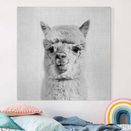 Bilderwelten Leinwandbild Tiere Motiv Kunstdruck schwarz weiss - Alpaka Alfred Schwarz Wei&szlig; - Wandbild XXL Kinderzimmer Baby M&auml;dchen Jungen