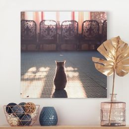 Bilderwelten Leinwandbild Tiere Motiv Kunstdruck beige - Katze im Schein - Katze XXL Wohnzimmer Schlafzimmer