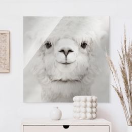 Bilderwelten Glasbild Tiere Motiv weiss Glas Wandbild - L&auml;chelndes Alpaka - Deko Kinderzimmer Baby M&auml;dchen Jungen