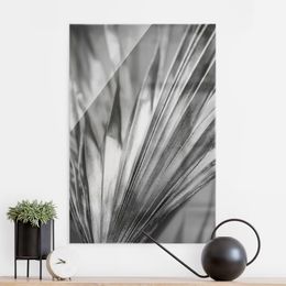 Bilderwelten Glasbild Tropisch silber Glas Wandbild - Palmenbl&auml;tter in Silber II - Deko Wohnzimmer Schlafzimmer