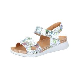 Comfortabel Klassische Sandaletten in bunt | Gr.: 40
