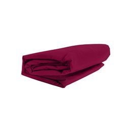 GMD Living Spannbetttuch ELASTAN CLASSIC in Brombeere | Gr.: 90-100 x 200 cm