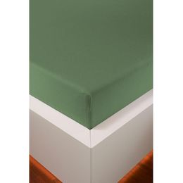 bellana jersey Spannbetttuch Bellana Boxspring Deluxe in schilf | Gr.: 100 x 200