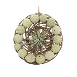 MeinVIPShop Flechtkorb mit Seeigel Arrangement und Tilladsie 30 cm | Gr.: onesize