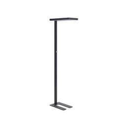 Beliani Stehleuchten TAURUS in Schwarz - (W) 29 x (H) 197 x (L) 61 cm | Gr.: onesize