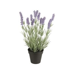 IB Laursen Lavendelpflanze in Topf in lavendel | Gr.: onesize