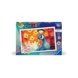 Ravensburger Verlag GmbH Nonbook - Stolzer Pfau | Gr.: onesize