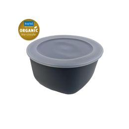 Koziol CONNECT BOX 4 - Box mit transparentem Deckel 4l in nature ash grey | Gr.: onesize