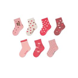 Sterntaler Socken 7er-Box Punkte in koralle | Gr.: 30