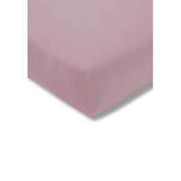 Estella Spannbetttuch Zwirn-Jersey in orchidee | Gr.: 100 x 200