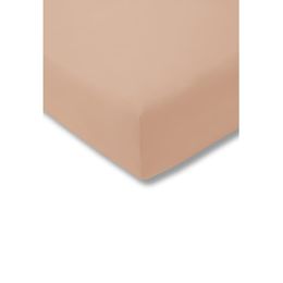 Estella Spannbetttuch Zwirn-Jersey in sahara | Gr.: 100 x 200
