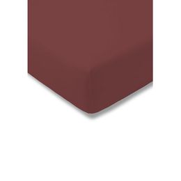 Estella Spannbetttuch Zwirn-Jersey in burgund | Gr.: 100 x 200