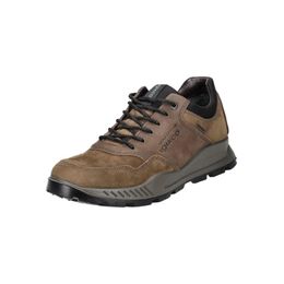 IGI&CO Igi&Co Sneaker in Fango | Gr.: 41