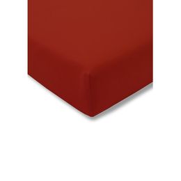 Estella Spannbetttuch Zwirn-Jersey Topper in purpur | Gr.: 100 x 200