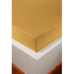 bellana jersey Spannbetttuch Nobel-Jersey Elasthan Spannbetttuch in gold | Gr.: 100 x 200